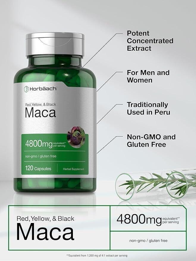 Maca Root Capsules 4800 Mg | 120 Pills Peruvian Maca Extract for Men ...