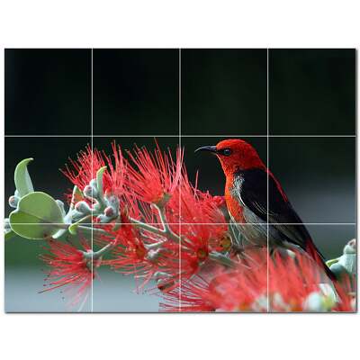 Bird Ceramic Tile Wall Mural PT500193. 24" W x 18" H (12) 6x6 tiles | eBay