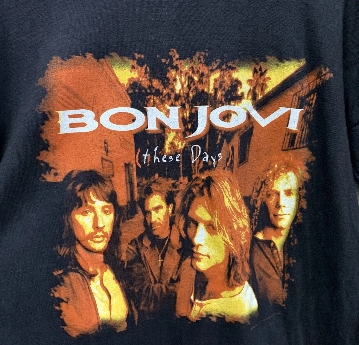 Bon Jovi These Days