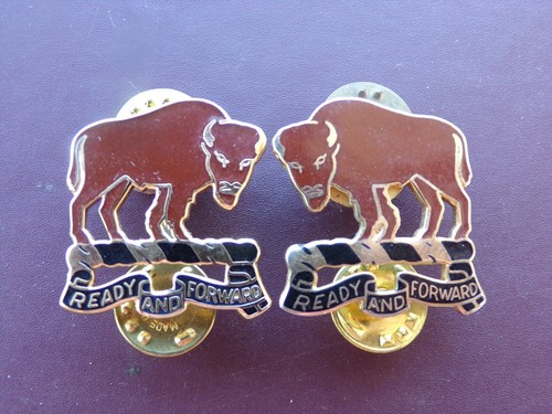 US Army 10th Cavalry Regiment Pin Crest Badge DI Lot Military Left and ...