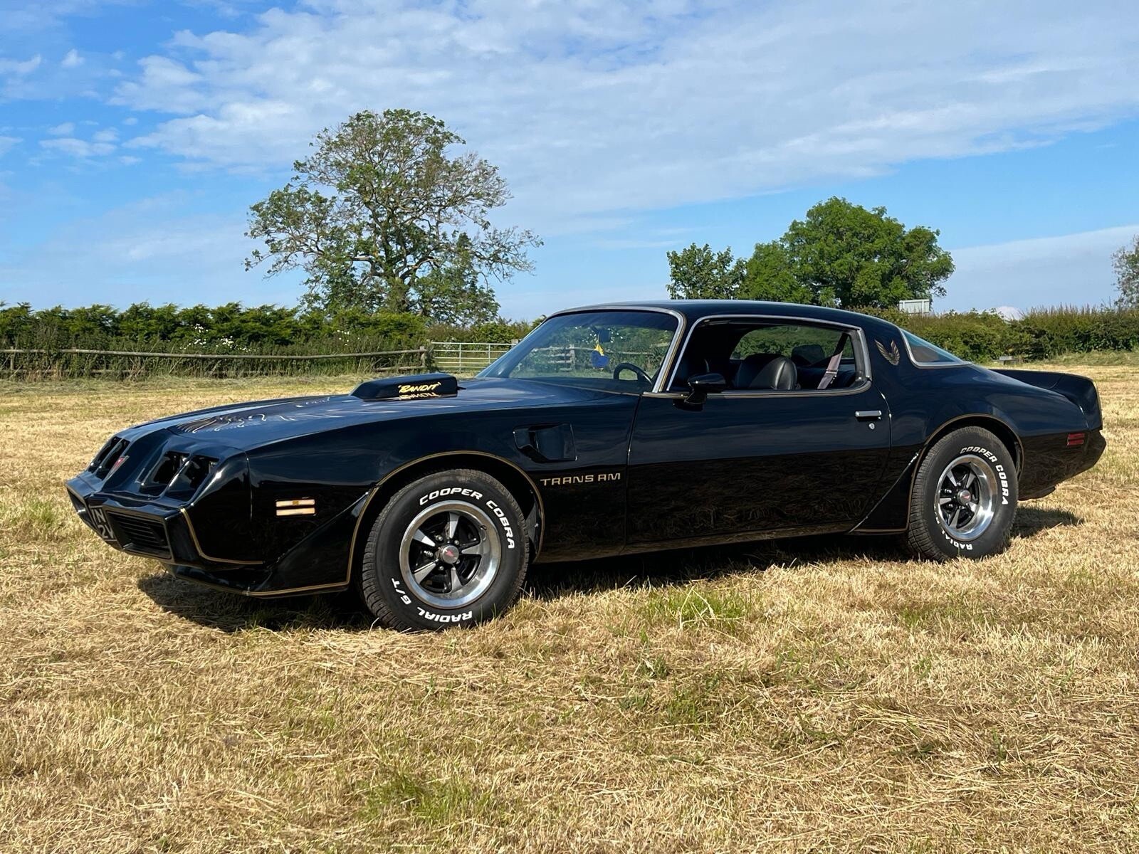 1980 Pontiac Firebird Trans Am - UK American Cars