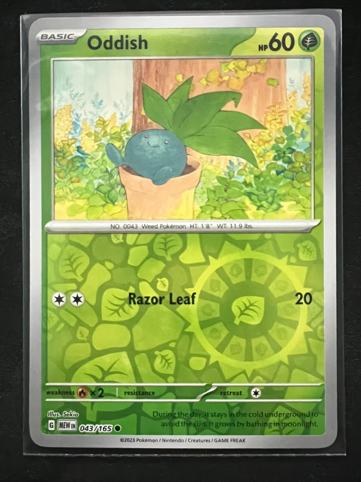 Pokemon 2023 Scarlet & Violet 151 Oddish Reverse Holo Common #43 Near ...