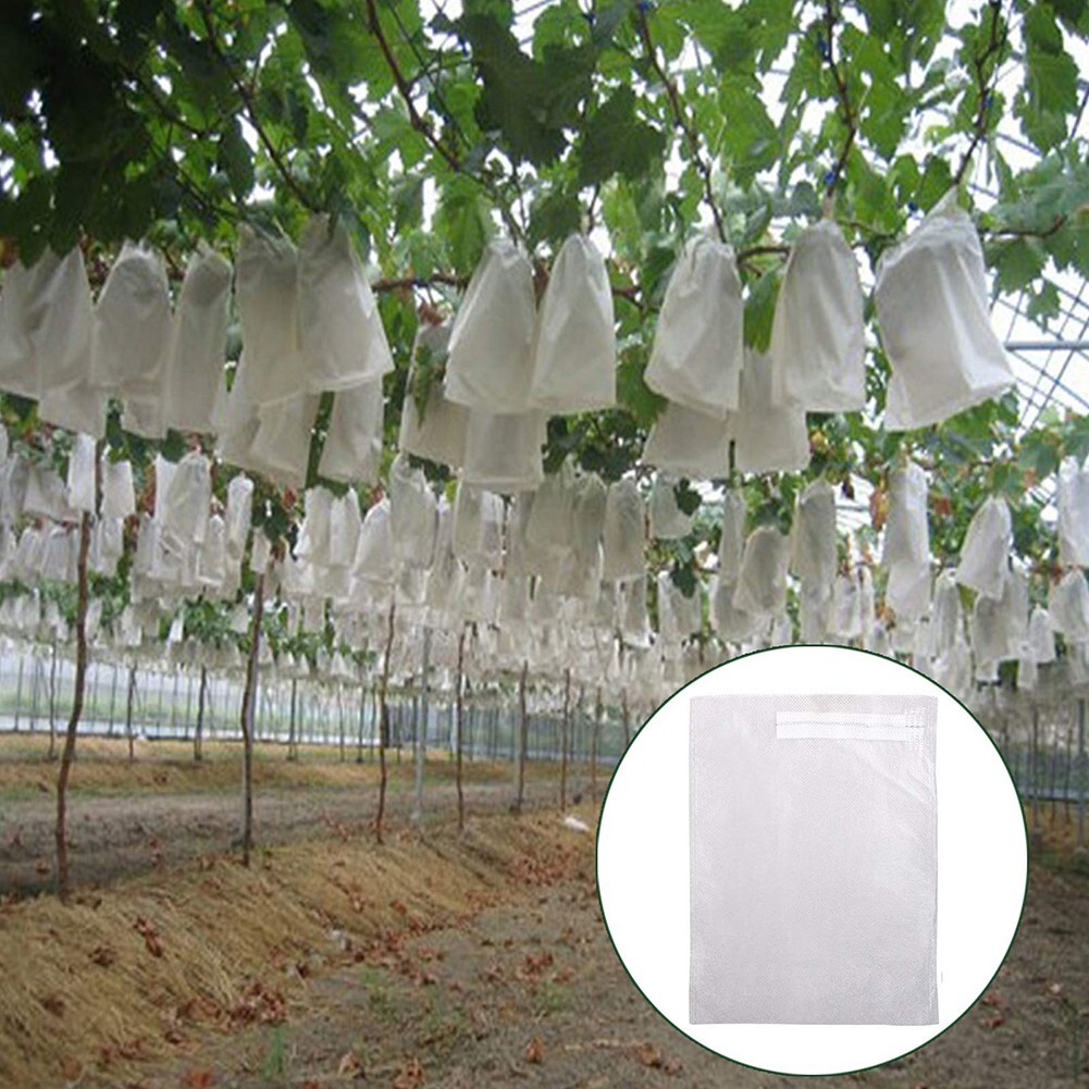 High Quality Indoor Outdoor Grape Protection Fruit Bags 50pcs ...
