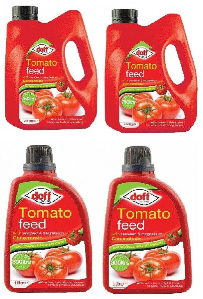 Doff Tomato Feed Fertiliser High Potash with Seaweed and Magnesium 1 OR ...