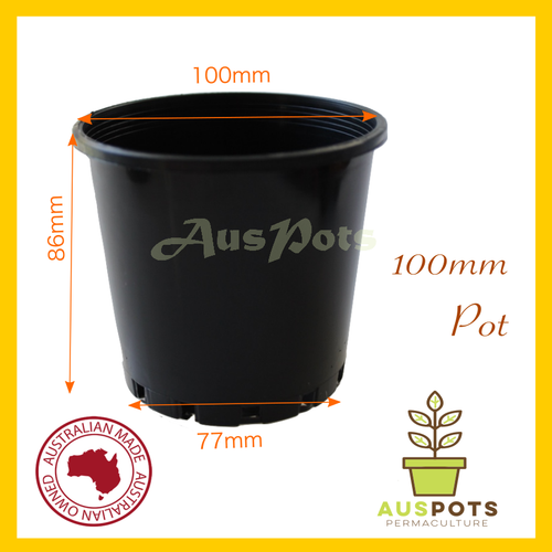 100mm Plastic Squat Garden Pot x 120pcs - Seedling & Plant Cutting ...