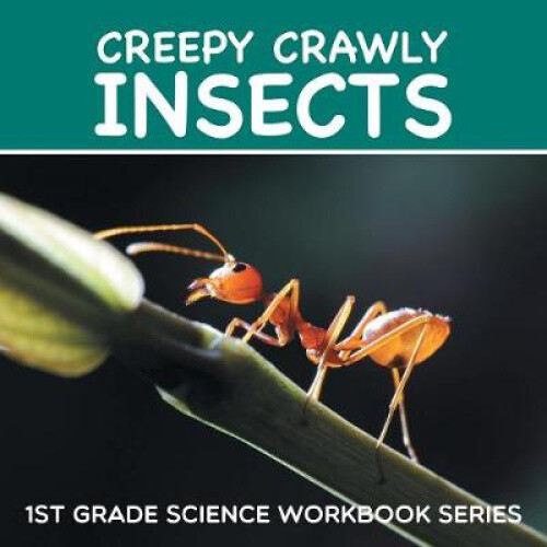 Creepy Crawly Insects: 1st Grade Science Workbook Series by Baby ...