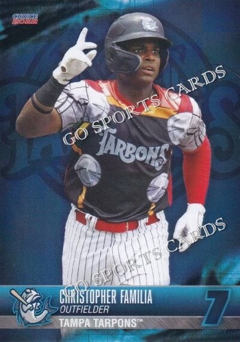 2022 Tampa Tarpons Christopher Familia RC Rookie New York Yankees DR | eBay