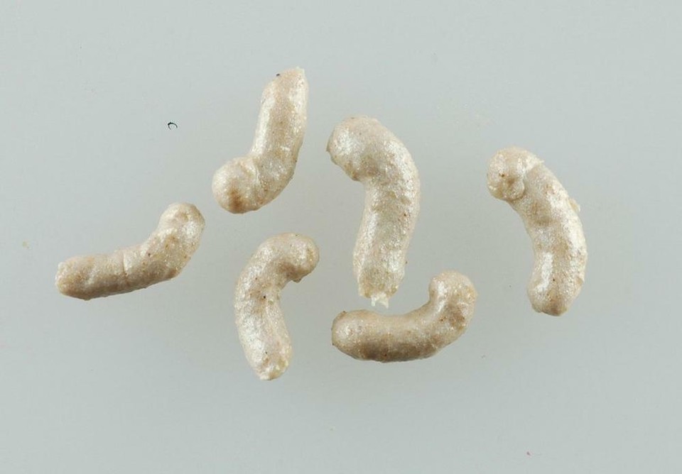 Berkley Gulp Alive*Cricket~Pinched Crawler~Leech~Maggots~Wiggler*FREE ...