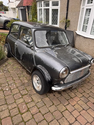 1985 Mini Ritz | eBay UK
