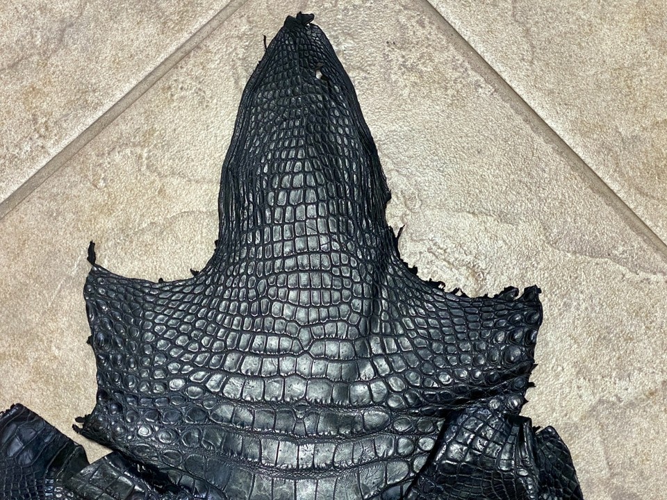 American Alligator Hide 5' Black Matte 30cm WHOLE Real Gator Hide 4363 ...