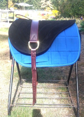 Parelli bare back pad | eBay