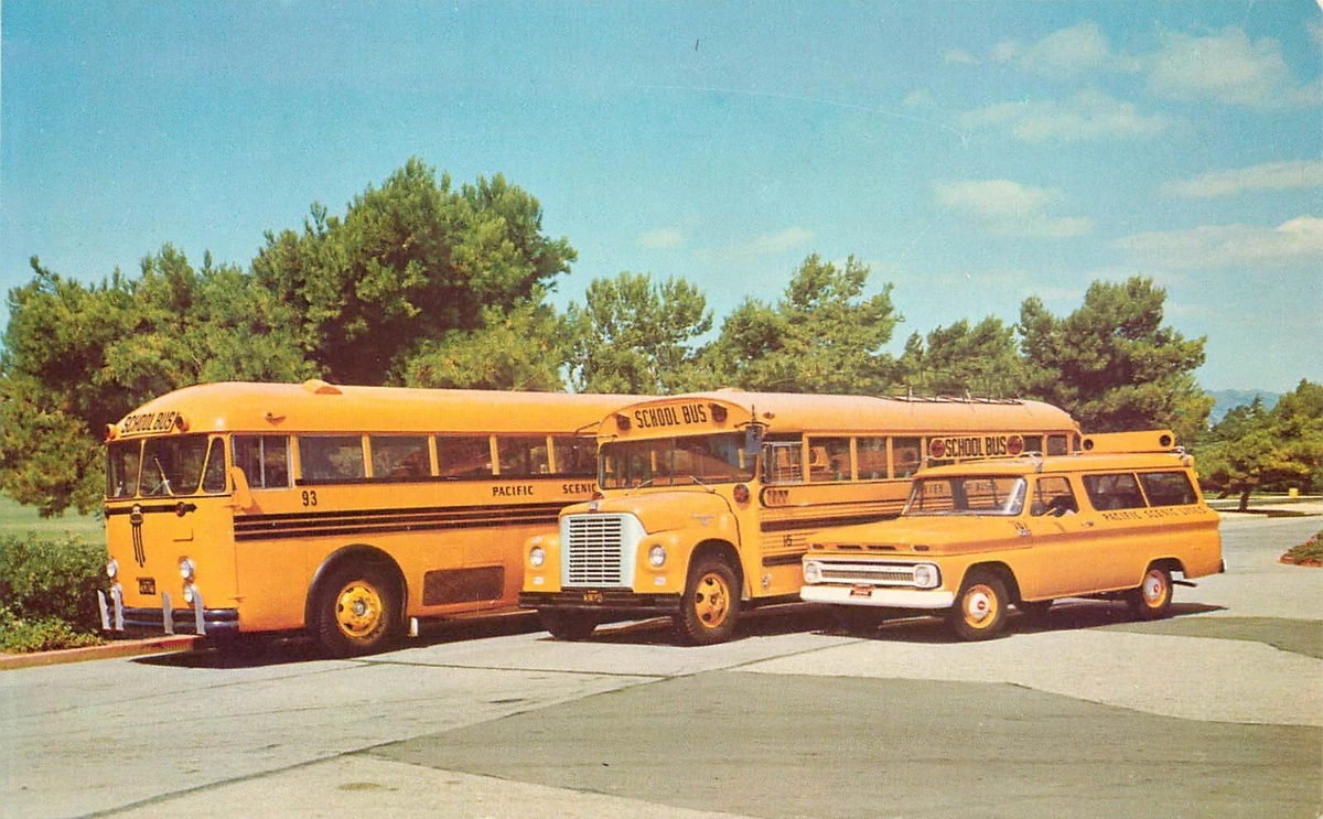 Vintage School Bus Images