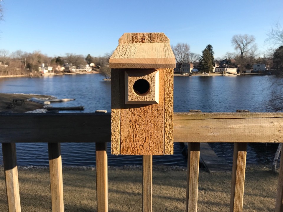 Cedar Bluebird Bird House 3/4" THICK Cedar Birdhouse! Predator Guard ...