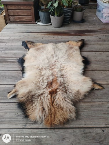 Sheep Wild Mouflon Skin Hide Pelt Fur Sheepskin Area Rug Natural Chair ...