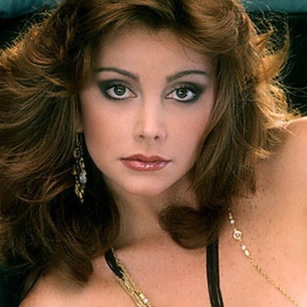 Cynthia Brimhall 10 Different 4x6 Super Glossy Images Photo Collection ...