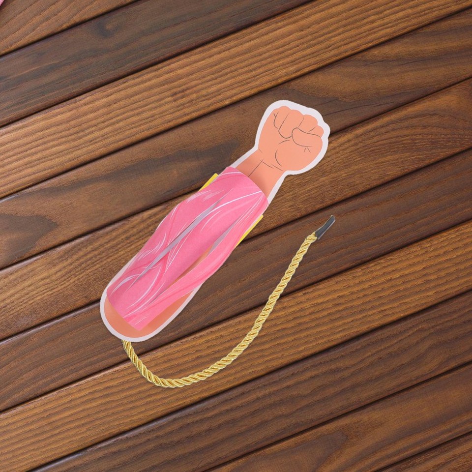 Biology Teaching Aid Arm Muscle Anatomy Model Hand Human Medical | eBay ...