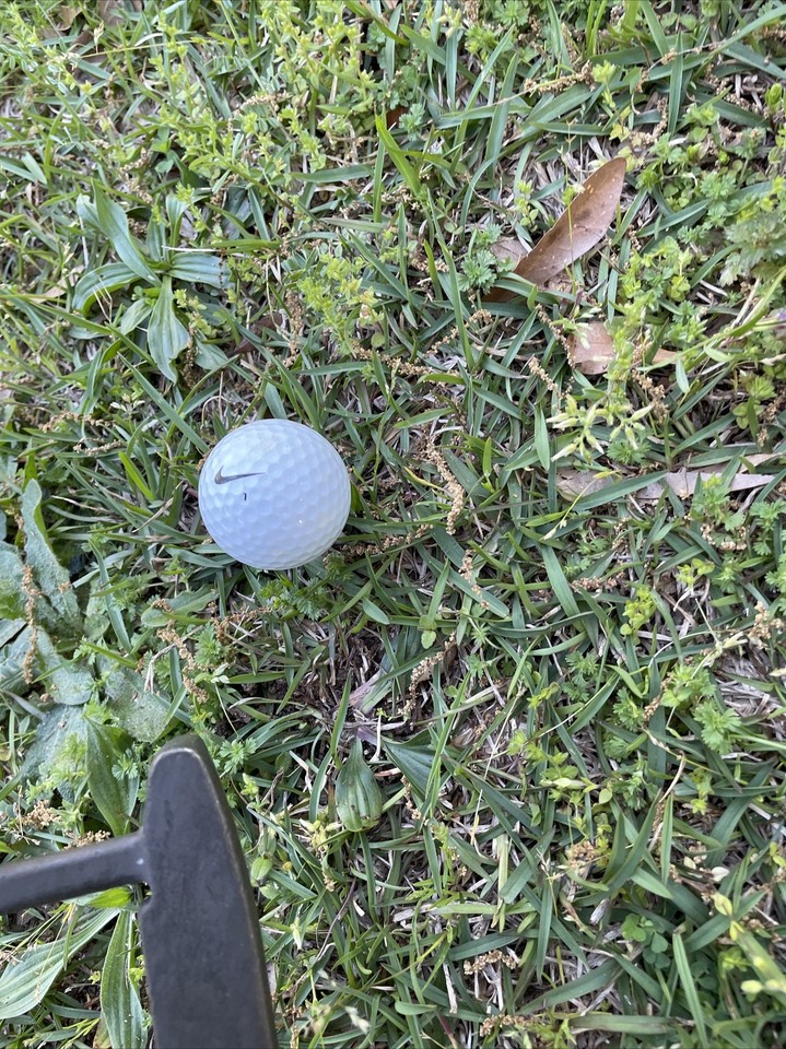 Vintage Original Rare Ping Anser Putter Has Original Ping Grip & patina ...