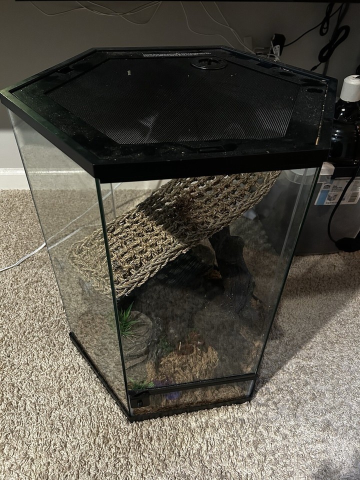 Hexagon Reptile Enclosure/Terrarium | eBay