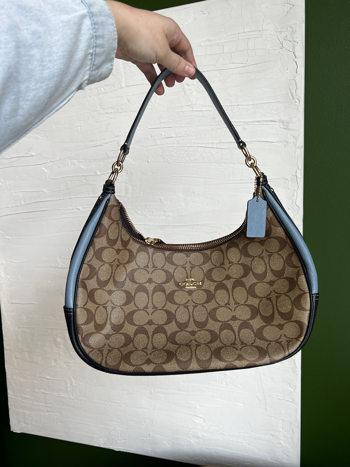 COACH Teri Hobo Shoulder Bag In Signature Canvas/ Wal… - Gem