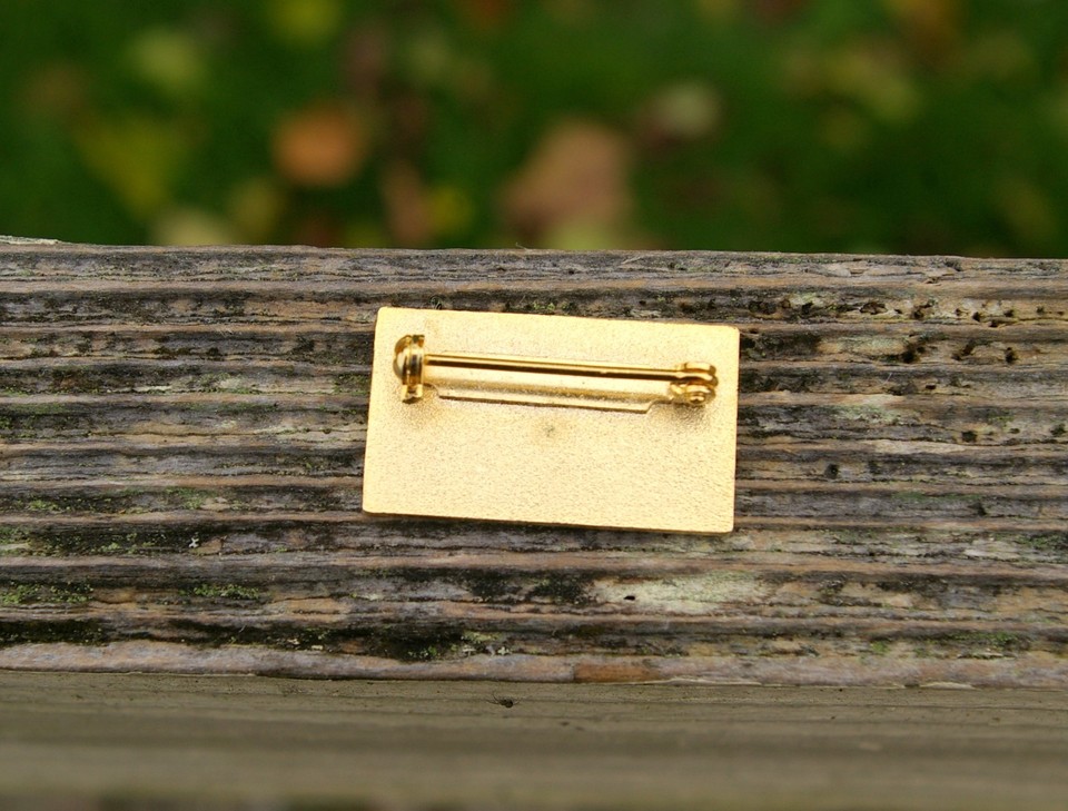 McKinley Explorer Mountains Anchorage Alaska Train Gold Tone Metal Pin ...