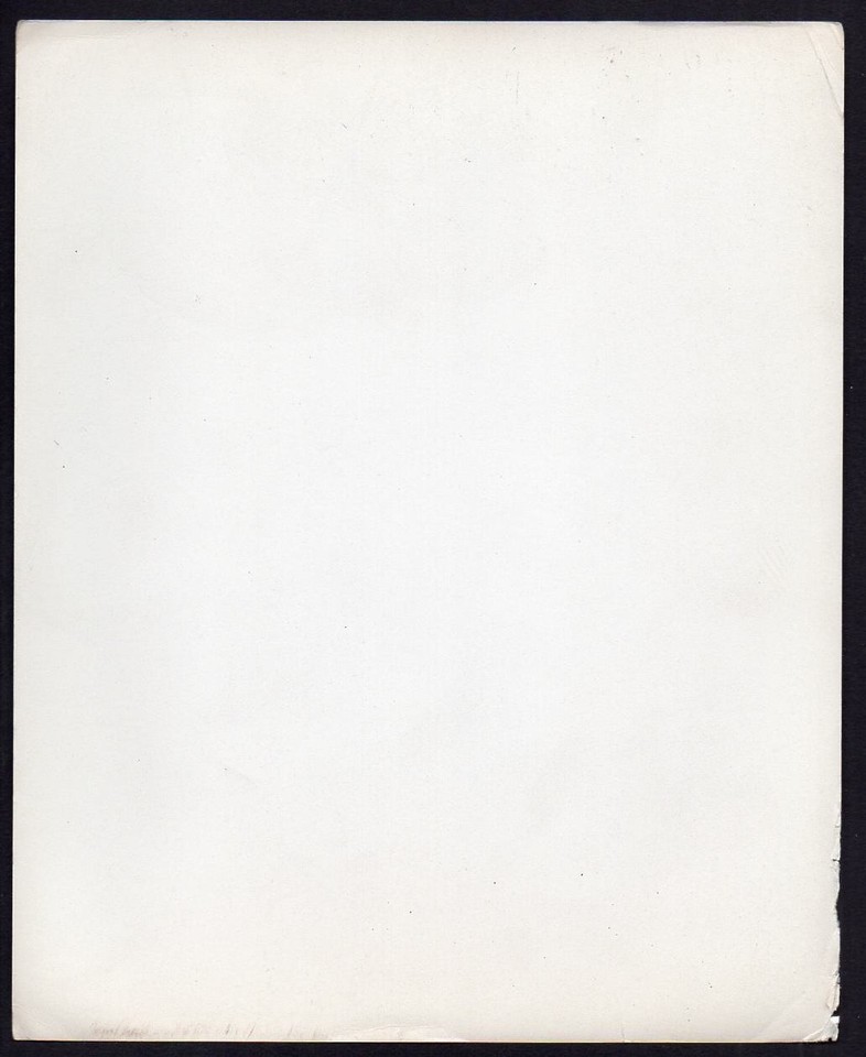 LITA MILAN sexy leggy actress ORIG PHOTO 8x10 swimsuit cheesecake pin-up | eBay