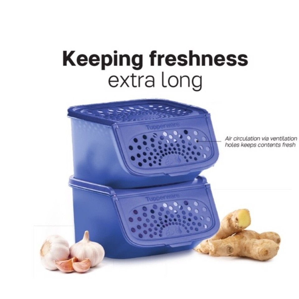 2x Tupperware Onion Garlic N All Potato Keeper Smart Container 2.3L ...
