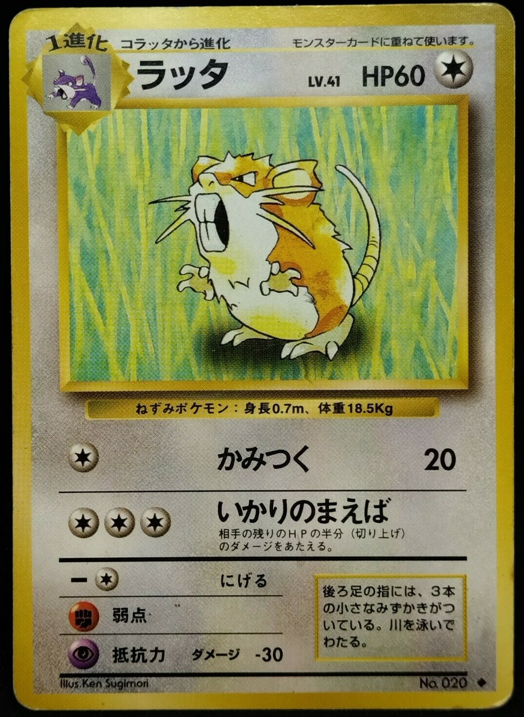 Raticate Pokemon Card No.020 Rare 1996 1st Edition Japan Japanese ...