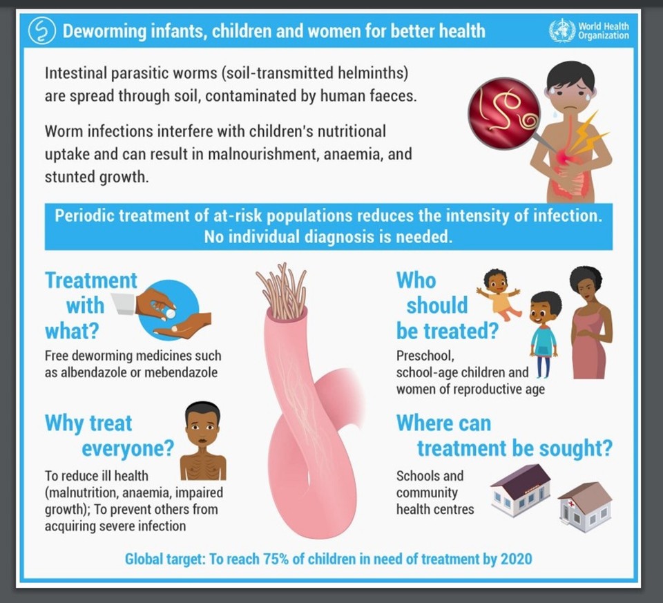 (Intestinal Worms) (ANTI PARASITES) DESTROY EGGS - KILL & FLUSH THEM ...