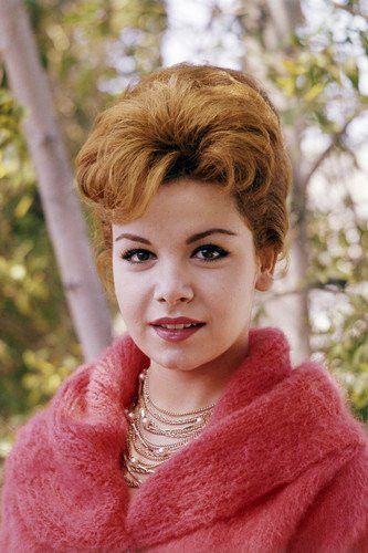 Annette Funicello With Red Hair Cute Pose 24x36 Poster | eBay