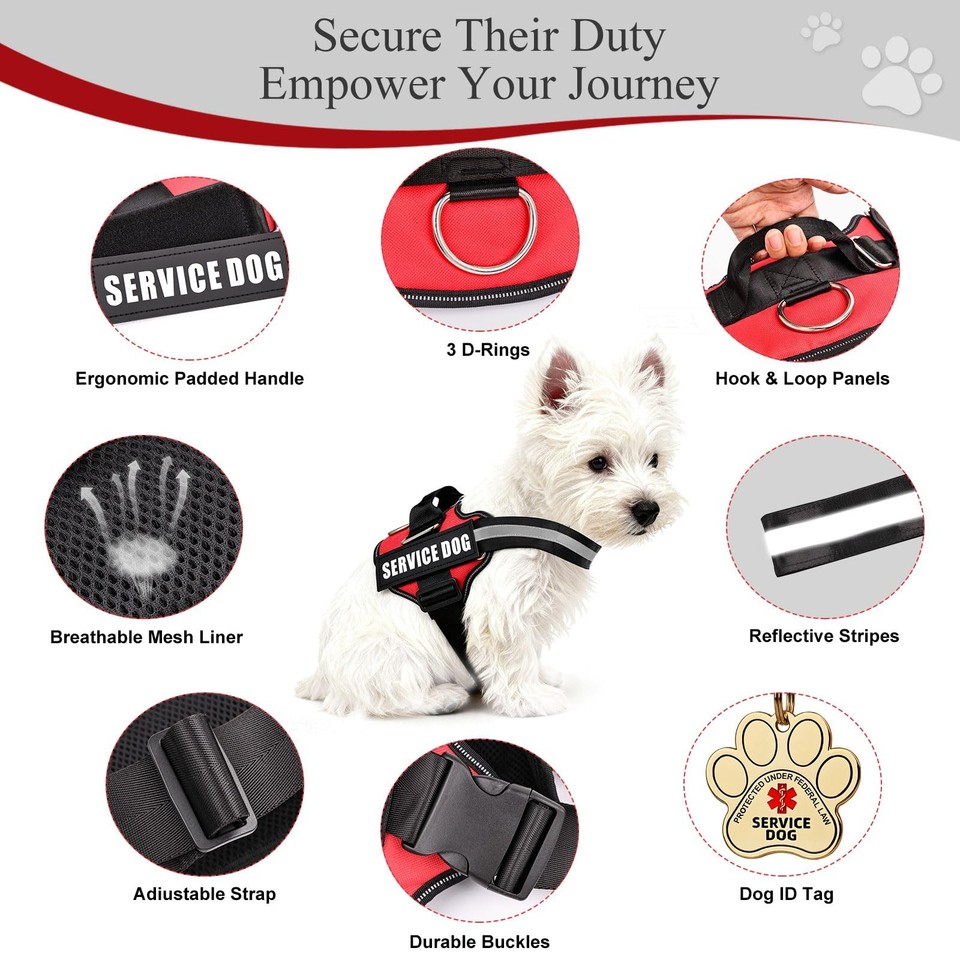 Service Dog Vest, ID Tag + 50 ADA Information Cards, Service Dog ...