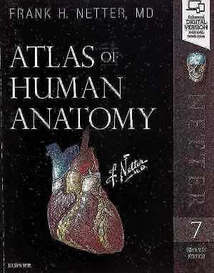 Atlas of Human Anatomy (Netter Basic - Paperback, by Netter MD Frank ...