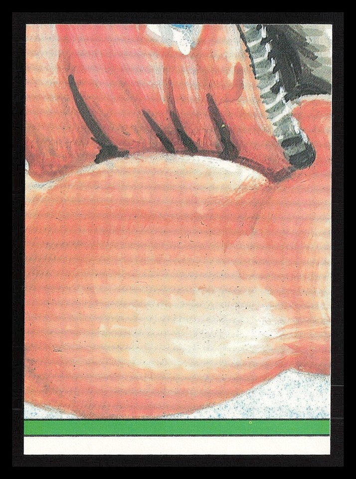 SHAGGY AGGIE 1986 Topps Garbage Pail Kids Sticker #126B | eBay