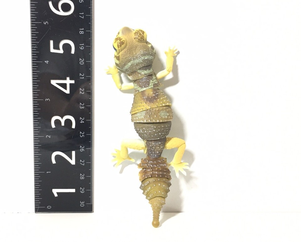 Bandai Japan Exclusive Smooth Knob-tailed Gecko Lizard Action Figure C ...