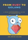 From Ruby Golang Ruby Programmer's Guide Learning Golang by Juliano Joel Bryan | eBay