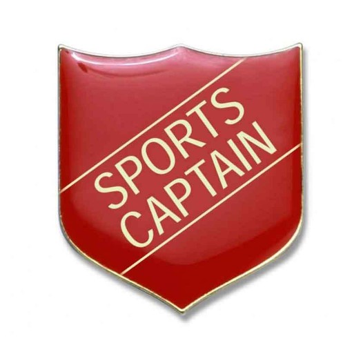 New Teachers School Red Sports Captain Enamel Badges - pack of 5 | eBay ...