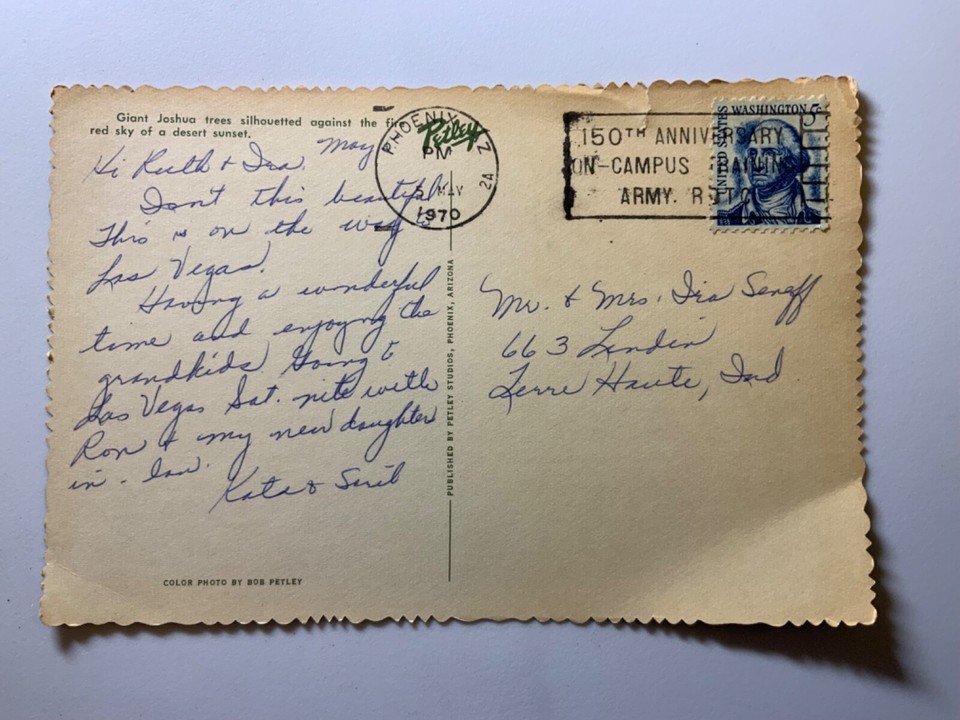 Vintage Postcard Giant Joshua Trees Sunset By Bob Petley Scalloped ...