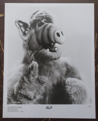PRESS PROMO PHOTO TV SHOW SITCOM ALF GORDON SHUMWAY PORTRAIT 1988 8X10 ...