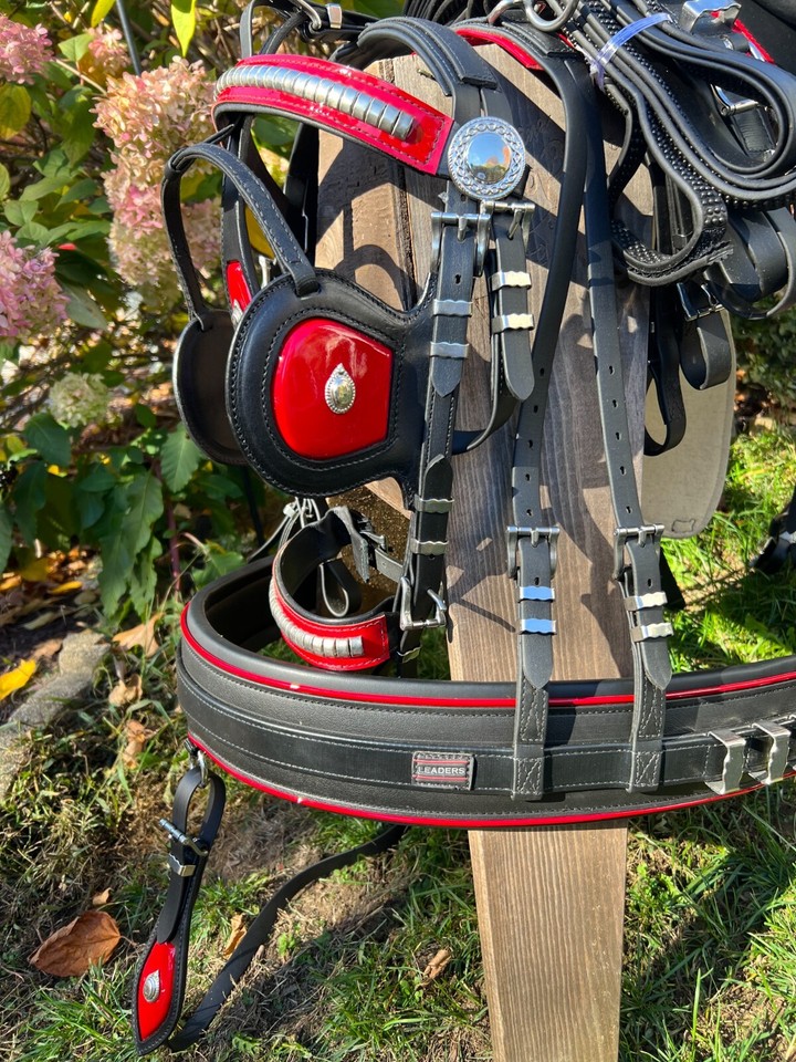 Leaders Trade/Gypsy Carriage Driving Harness | eBay