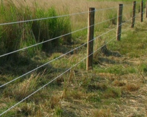 4mm x 650m Nylon Equine Horse Fence Sighter Wire Thunderbird Farm ...