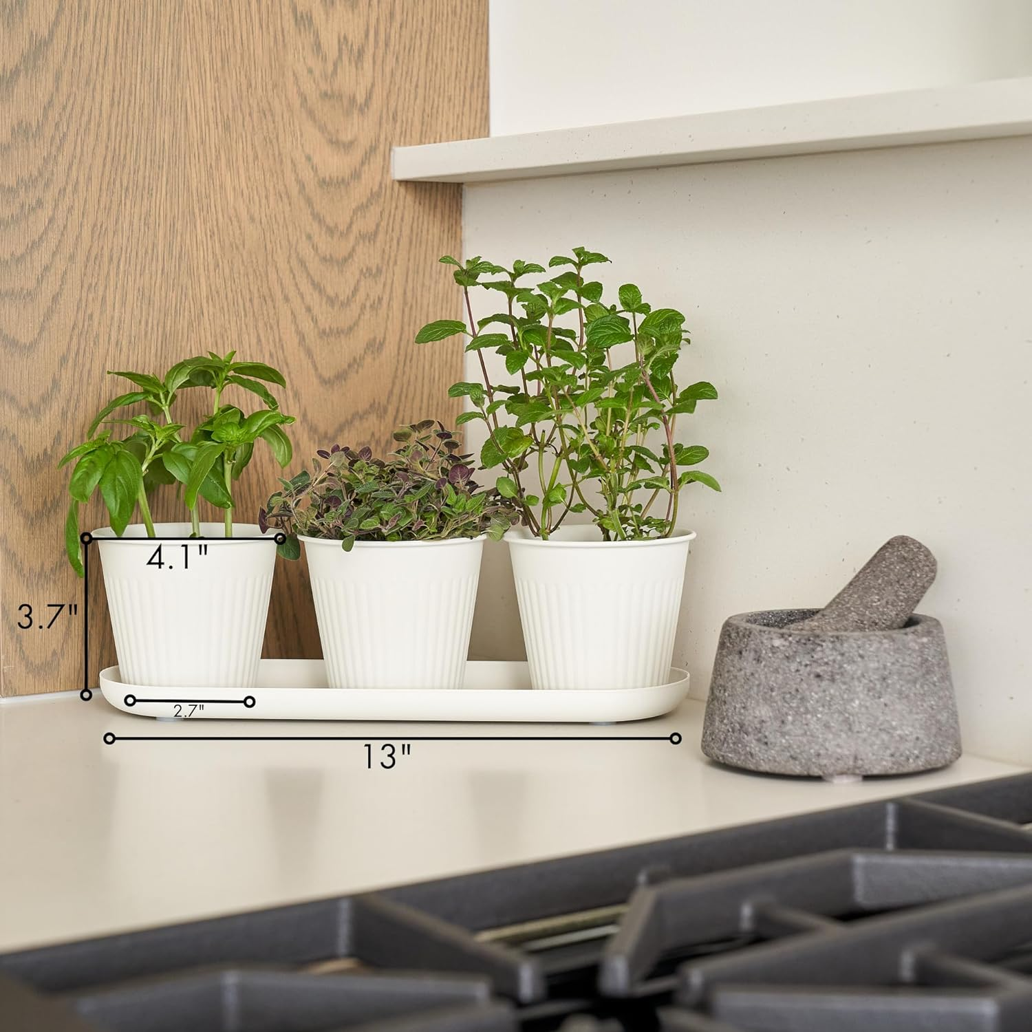 3set Beautiful Herb Garden Planter Indoor Perfect Kitchen Window Sill ...