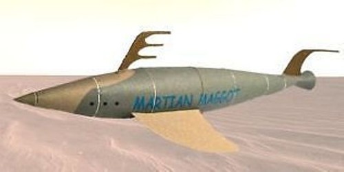 Martian Maggot Rocket Space Cruiser Mahogany Kiln Dry Wood Model Large ...
