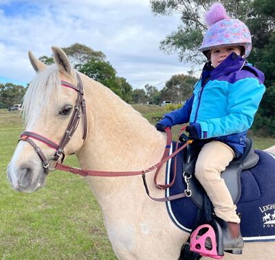 Pvc Bridle & Marker Contact Reins Set For Childs Stability | eBay Australia