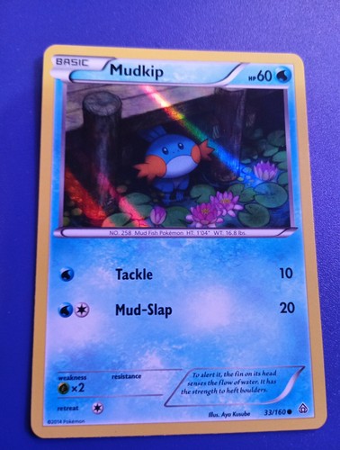 MP Mudkip 2015 Pokémon Primal Clash Sheen Holo 33/160 | eBay