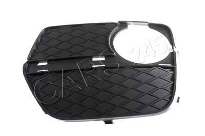 Genuine BMW X6 E71 Closed Grid Fog Light Grille Left OEM 51117312605 | eBay