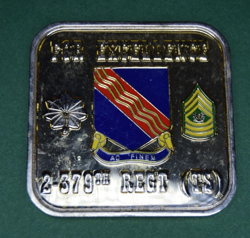 Rare Authentic US Army 2nd Bn. 379th Regiment "Trail Riders" Challenge ...