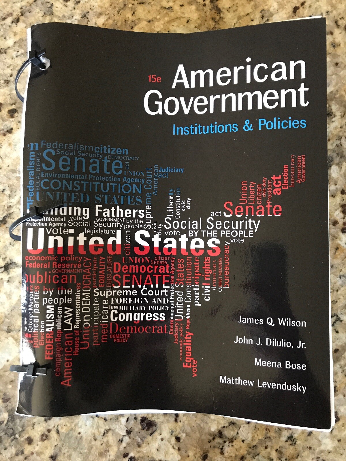 American Government Institutions and Policies 15th Edition Wilson ...