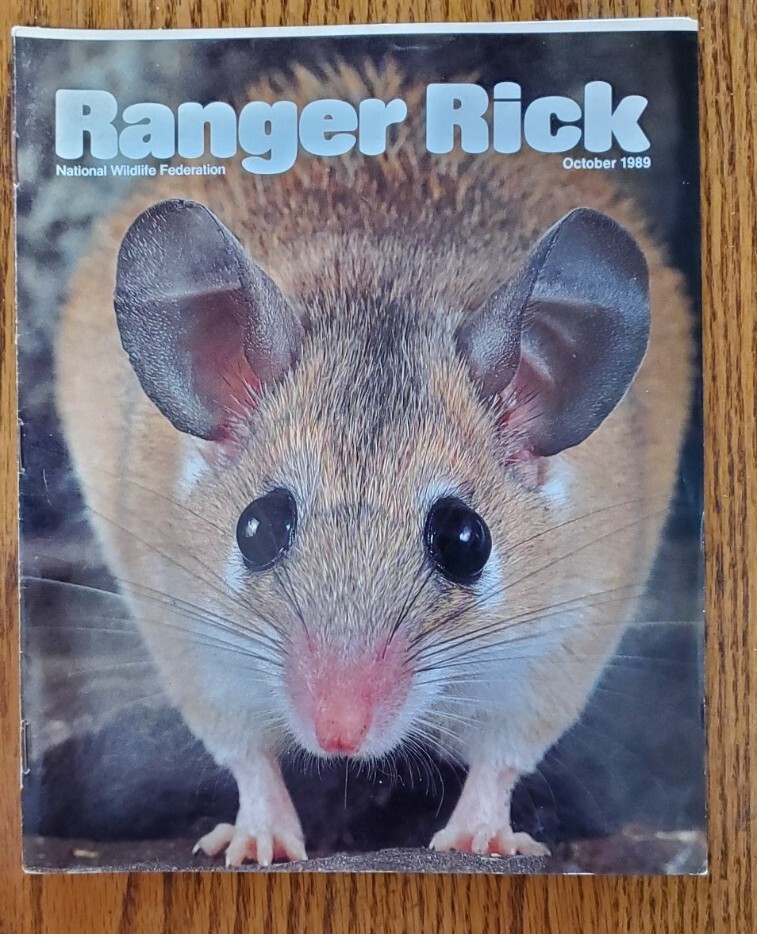 Lot of 12 Vintage Ranger Rick Magazines 89,90,91 National Wildlife ...