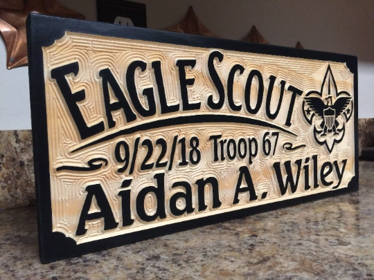 Bronze Eagle Scout Project Plaque
