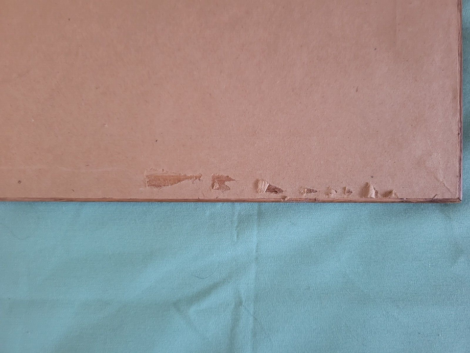 disney magnolia golf course #6 hole/par 3 print signed by j fitzpatrick ...