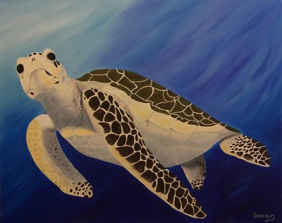 Turtle Oil Painting, Sea Turtle, Duuuude!! (20" x 24") | eBay